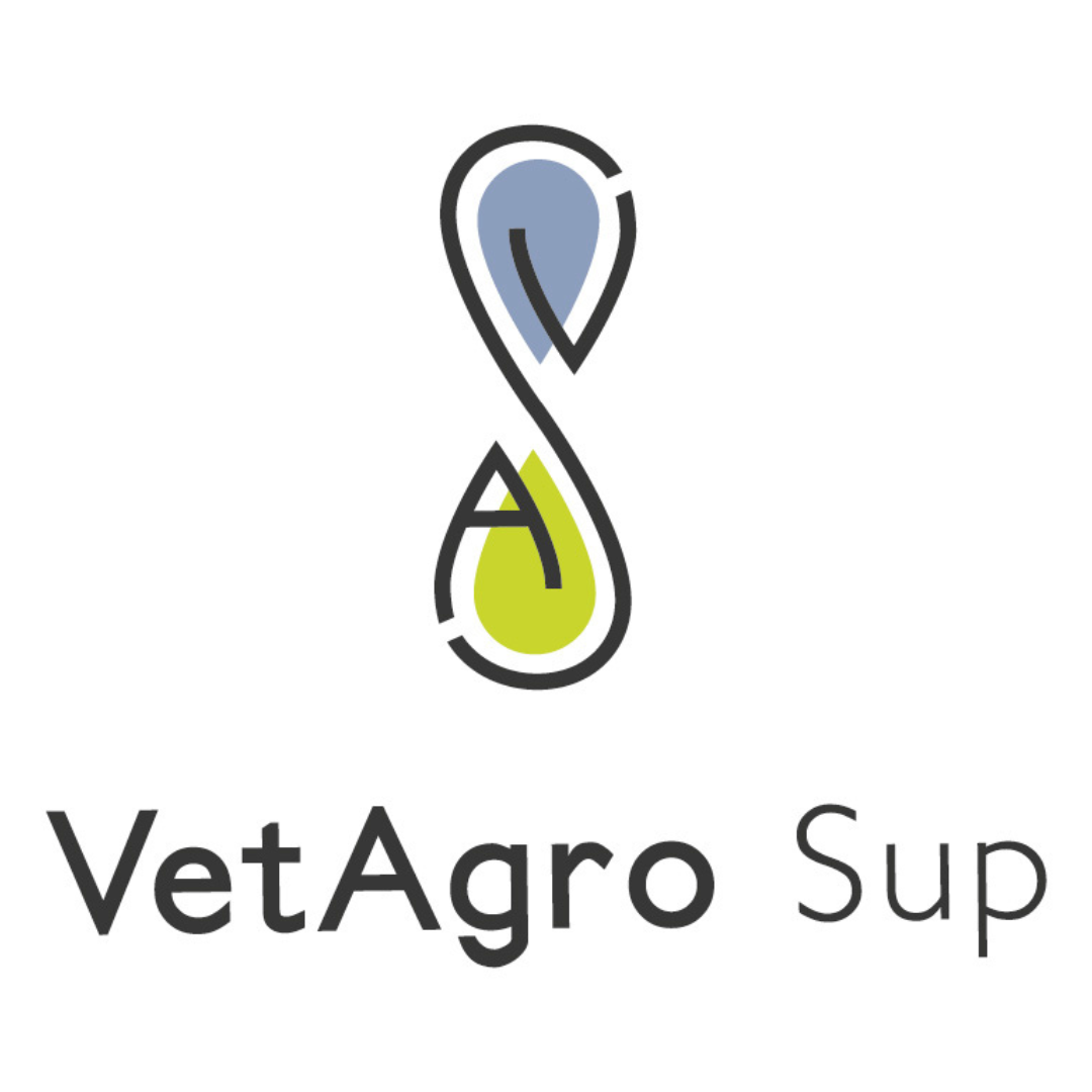 Accueil - Ferments du Futur